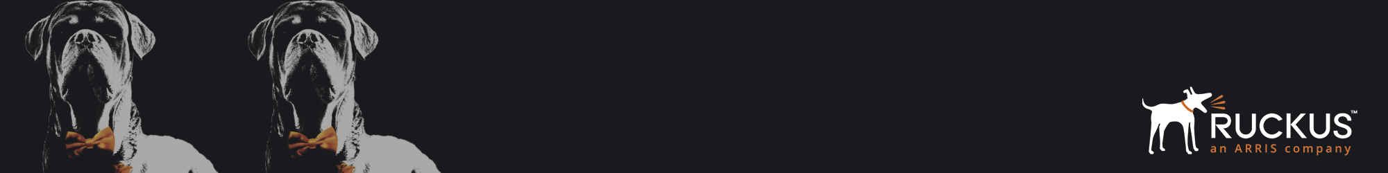 Intangi iris | Wifidom